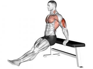 Extension Verticale des Triceps avec élastique : Comment et Pourquoi ...