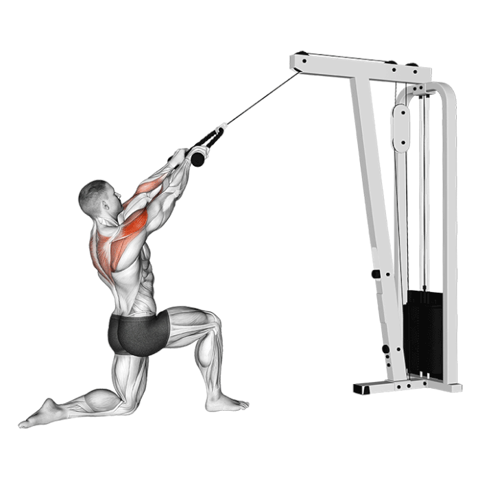 Face Pull Le Vrai Guide D taill Face Pull Le Vrai Guide D taill