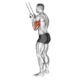 Extension verticale des triceps avec élastique : Comment et pourquoi ...