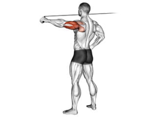 Extensions des Triceps à la Poulie Haute à la Corde : Comment et ...