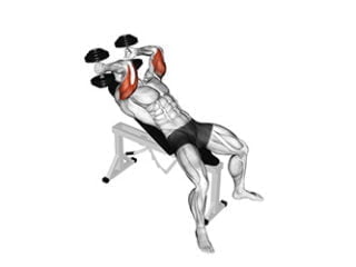 Dips sur une Chaise : Comment Muscler ses Triceps avec les Dips sur une ...