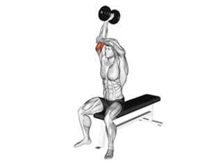 Extensions des Triceps avec Sangles de Suspension : Comment et Pourquoi ...