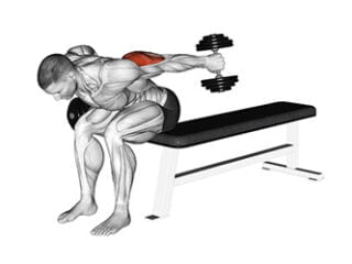 Dips sur une Chaise : Comment Muscler ses Triceps avec les Dips sur une ...