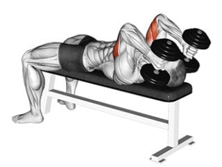 Extensions des Triceps Assis avec Haltère : Comment et Pourquoi faire ...